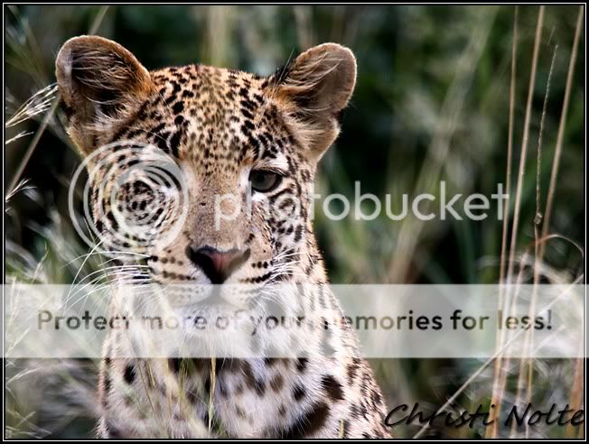 CKGR / Khutse Rit verslag