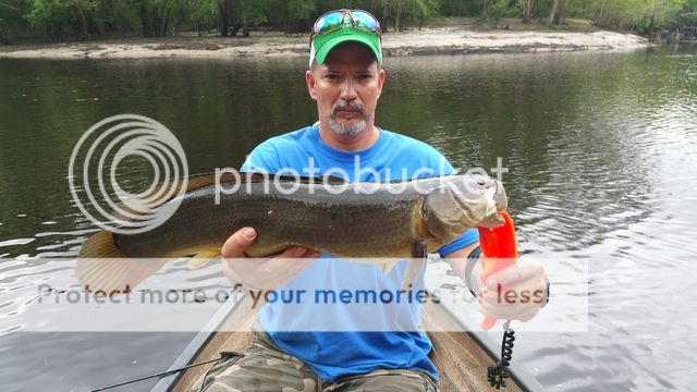 South Ga. Satilla River..4/12/15 | Dedicated To The Smallest Of Skiffs