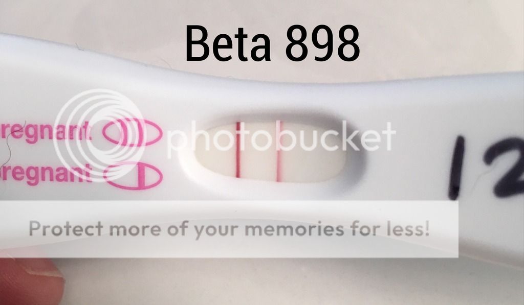 **PICS! BFP 7dp-9dp5dt HPT comparison NEW FRER, IC, or Dollar Tree for ...