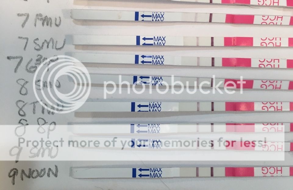 **PICS! BFP 7dp-9dp5dt HPT comparison NEW FRER, IC, or Dollar Tree for ...